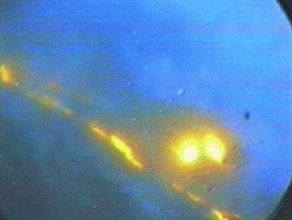 Misteri Api Terbakar Di Dasar Laut |Hijau Rimba 3